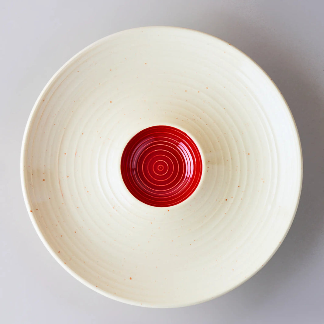 Plastic vs Ceramic Tableware – Which One Is Safer, Smarter, and Stylish ...