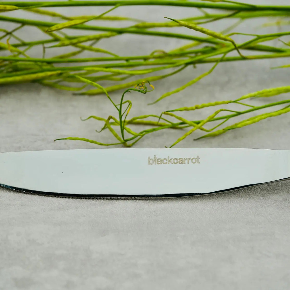 Silver Knife Set of 6 - Stainless Steel | Black Carrot – BlackCarrot