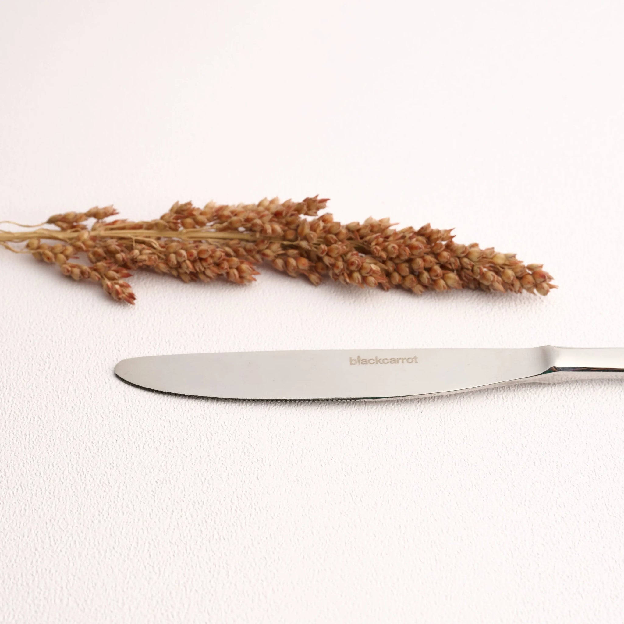 Silver Knife Set of 6 - Stainless Steel | Black Carrot – BlackCarrot